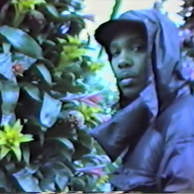 Steven Julien tickets, events, and tour dates